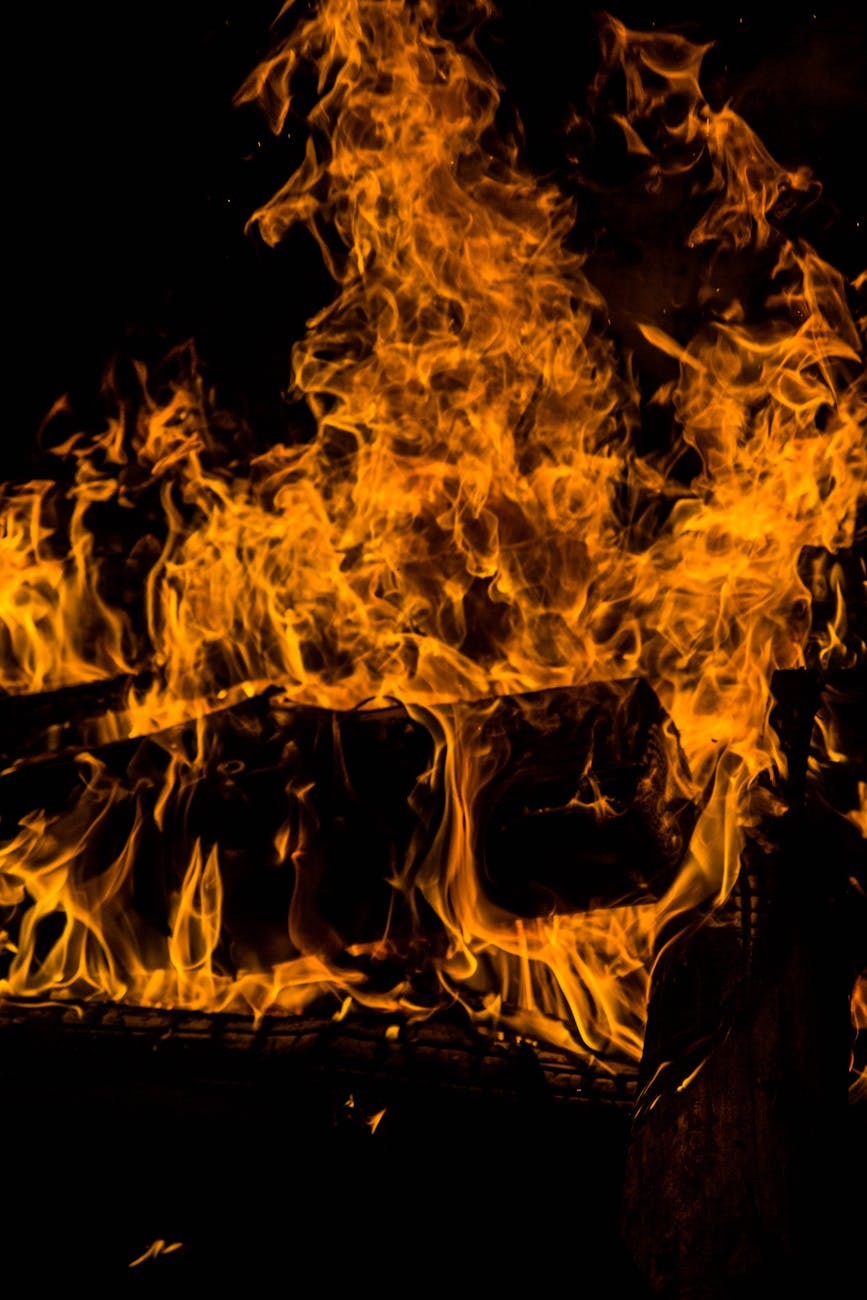 Life: Its Purpose – Wisdom of Yore